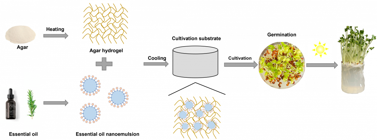 Research | Luo Research Group