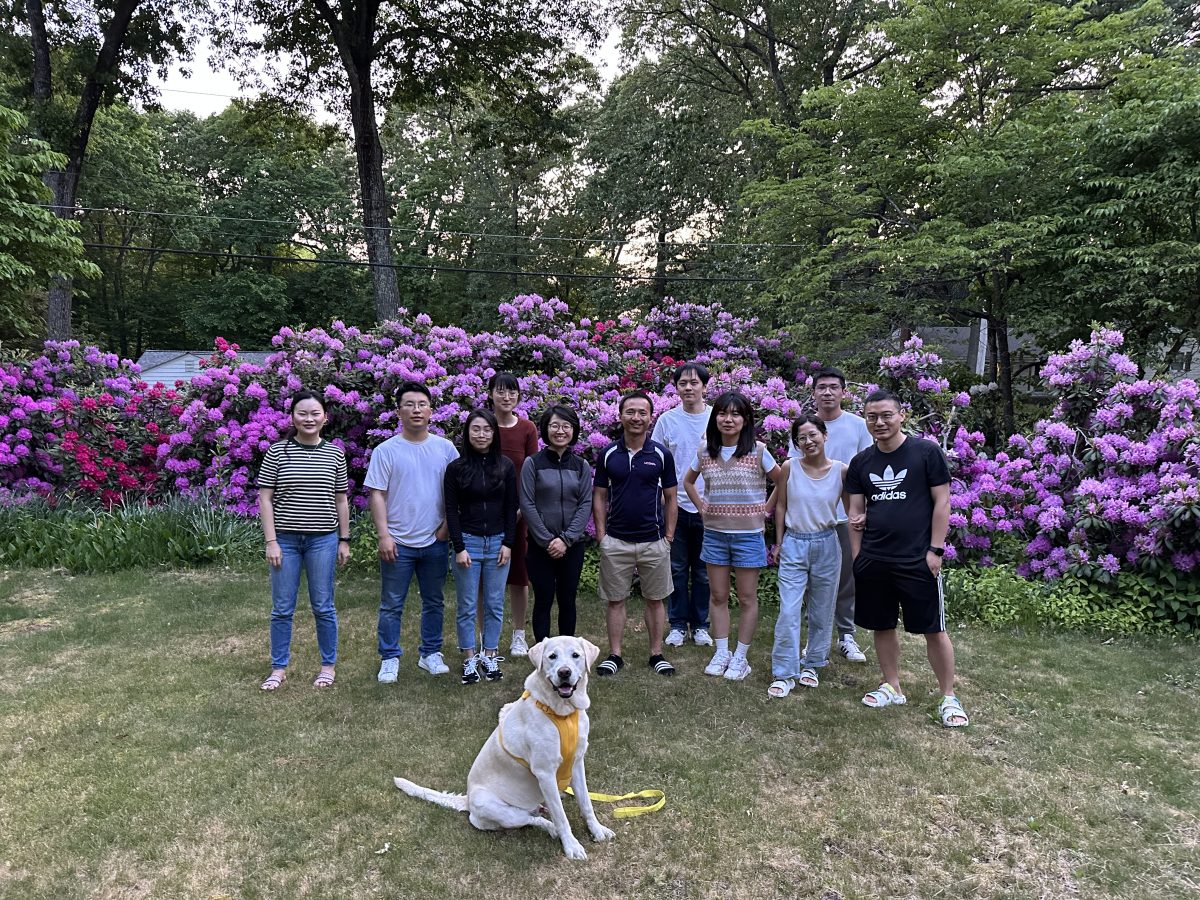 Galleries | Luo Research Group